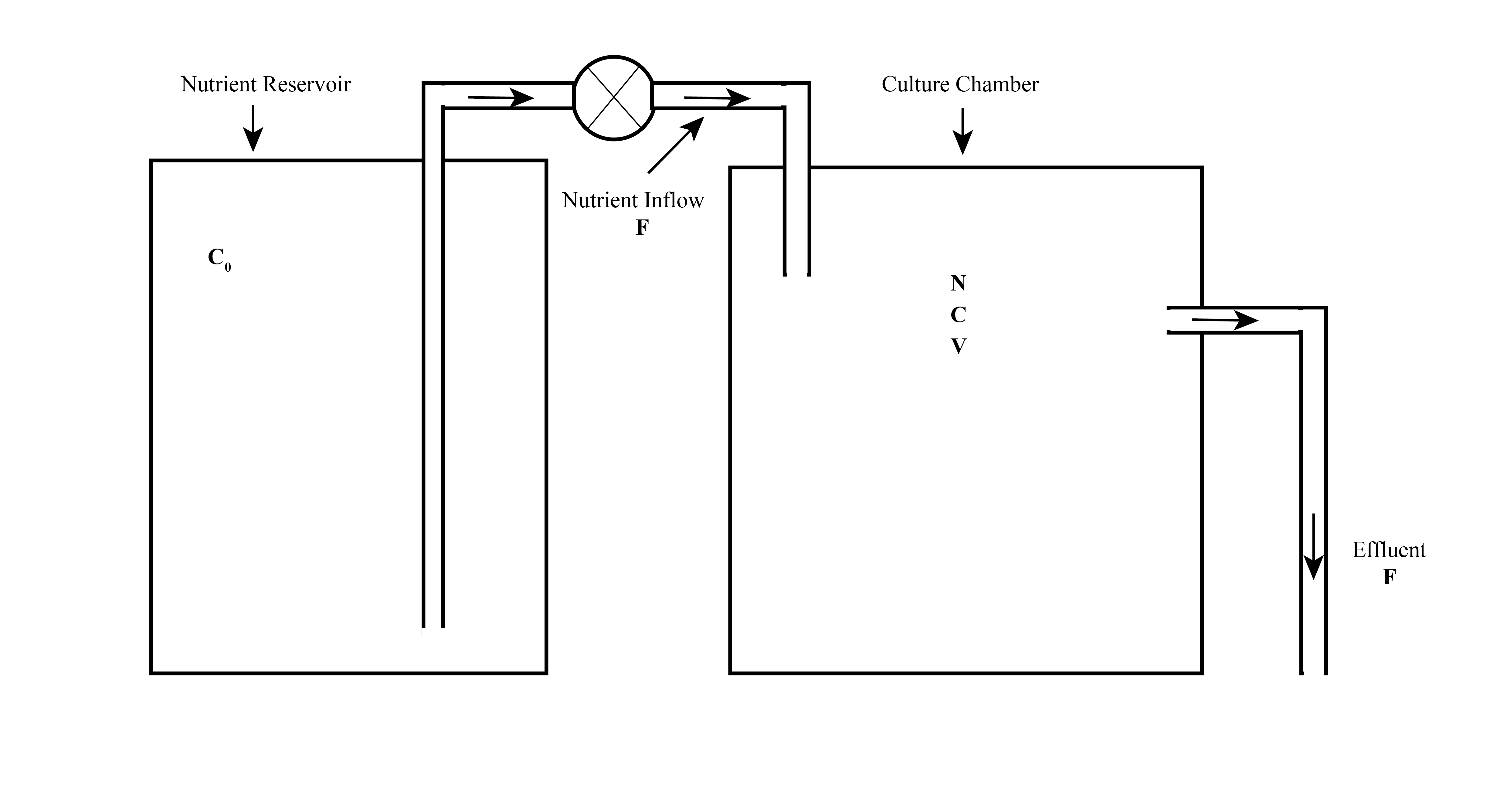 Dynamical Systems Modeling II – Computational Science