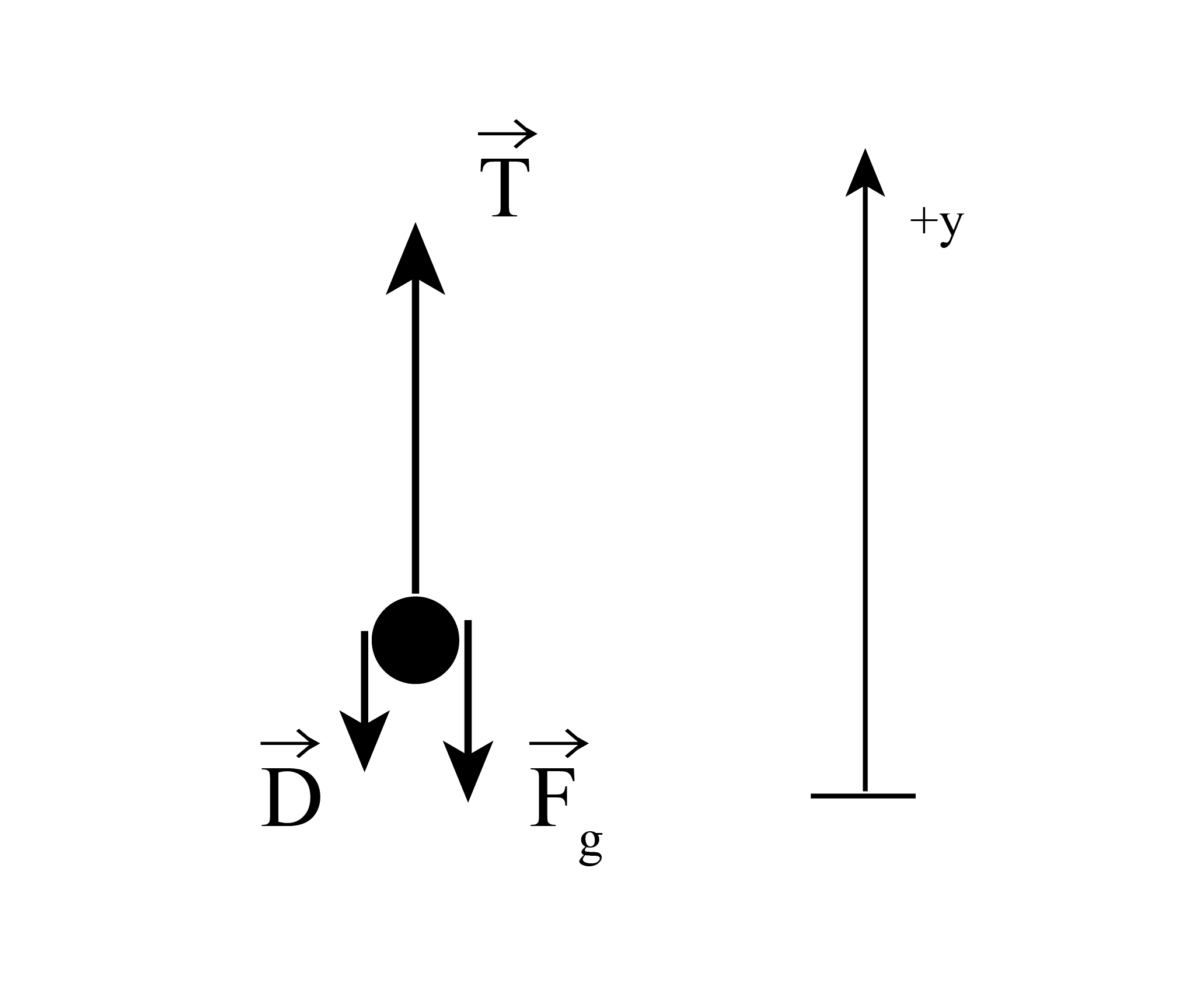 Project Ideas: Dynamical Systems Models – Computational Science